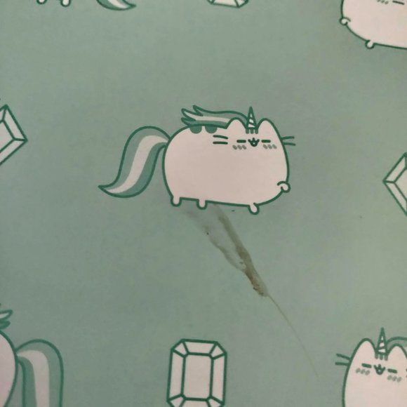 Pusheen | Other | Pusheen The Cat Girls 220 Pink Fuzzy Plush Writing ...